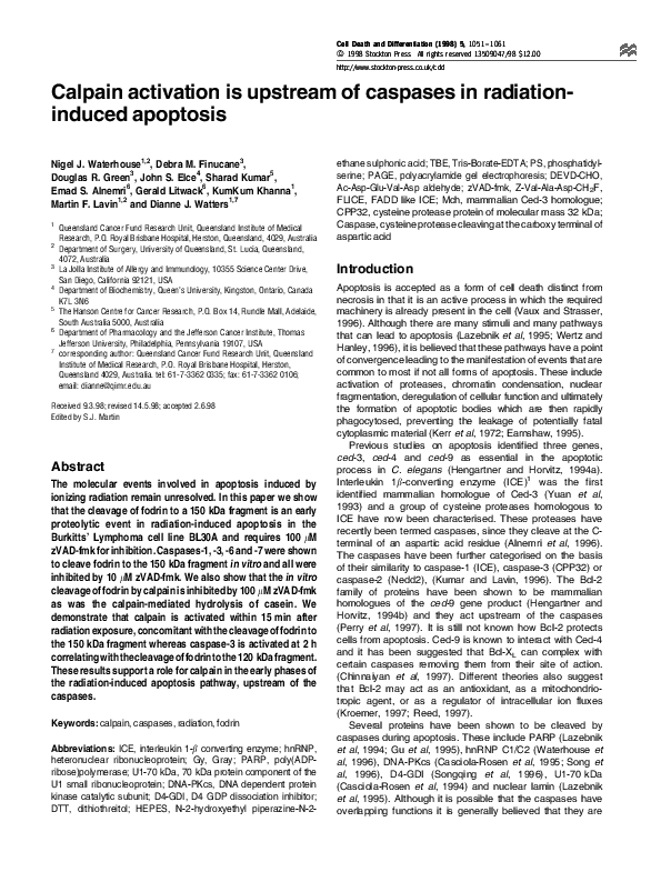 (PDF) Calpain activation is upstream of caspases in radiation-induced ...