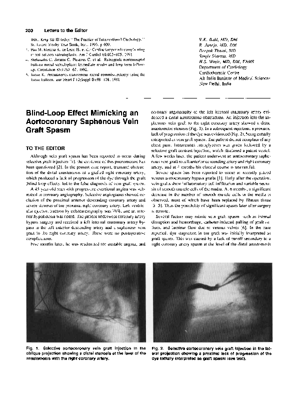(PDF) Blind-Loop effect mimicking an aortocoronary saphenous vein graft ...
