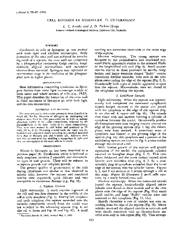 (PDF) Cell Division in Spirogyra. II. Cytokinesis