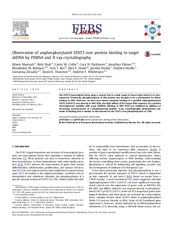 (PDF) Observation of unphosphorylated STAT3 core protein binding to ...