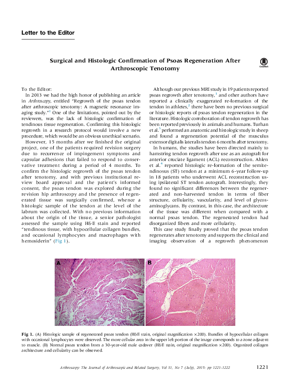 (PDF) Surgical and Histologic Confirmation of Psoas Regeneration After ...