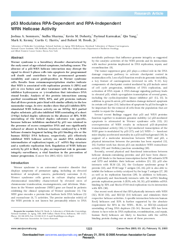 (PDF) p53 Modulates RPA-Dependent and RPA-Independent WRN Helicase Activity