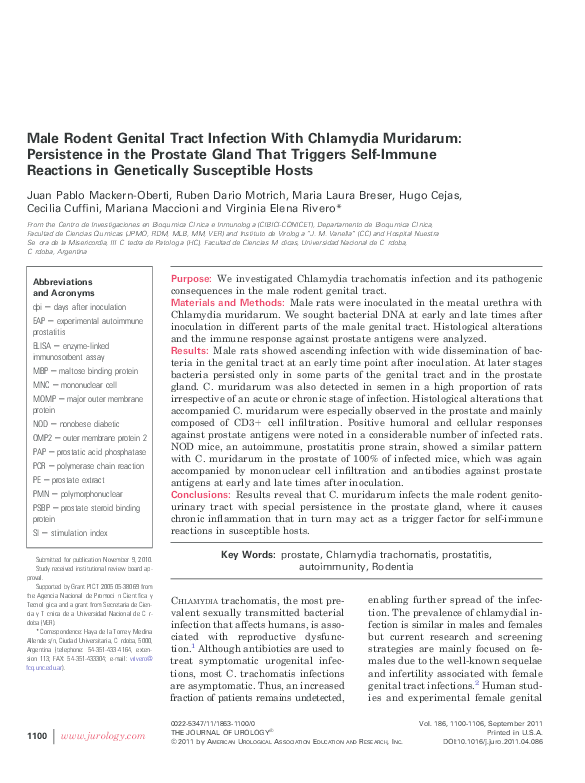 (PDF) Chronic Infection of the Prostate by Chlamydia muridarum Is ...