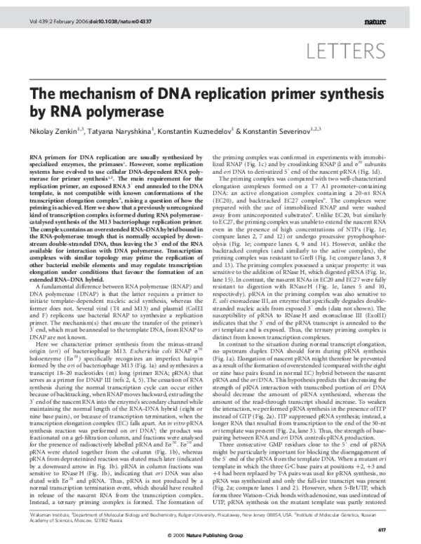 (PDF) The mechanism of DNA replication primer synthesis by RNA polymerase