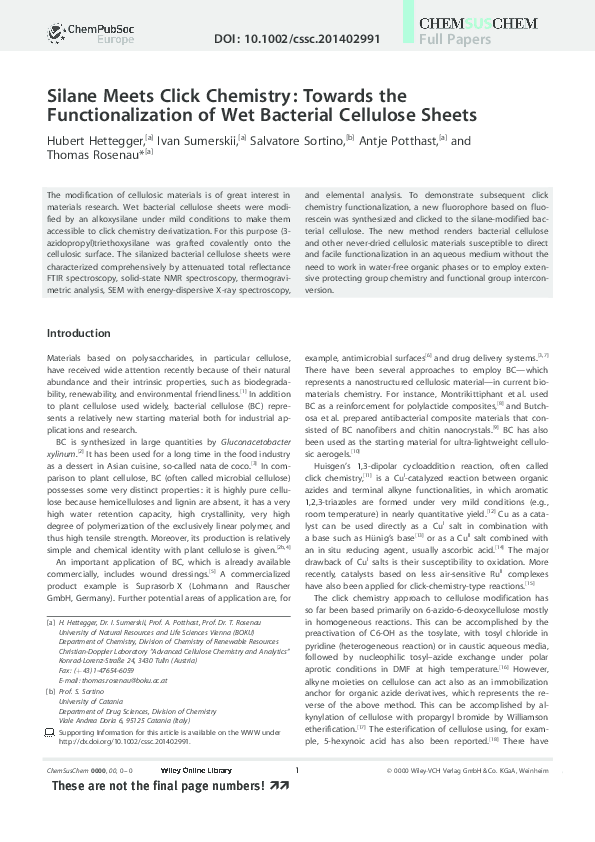 (PDF) Silane Meets Click Chemistry: Towards the Functionalization of ...