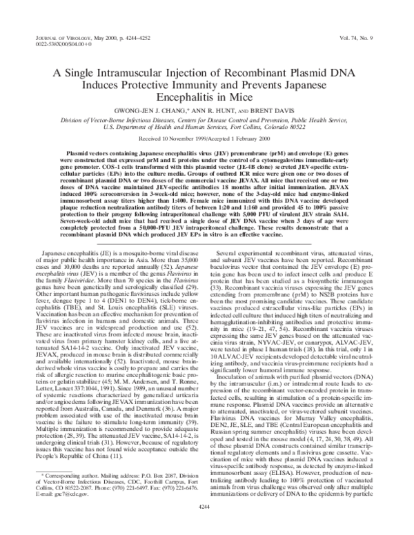 (PDF) DNA Vaccine Confers Protection Against JEV