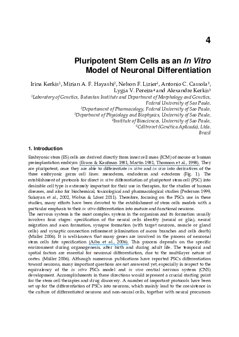 (PDF) Pluripotent Stem Cells as an In Vitro Model of Neuronal ...