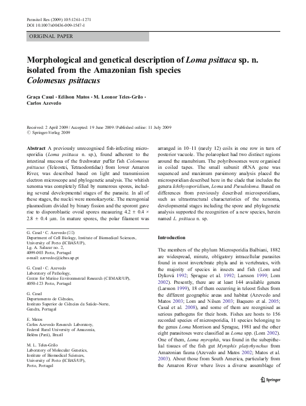 (PDF) Morphological and genetical description of Loma psittaca sp. n ...