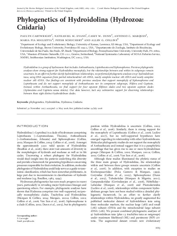 (PDF) Phylogenetics of Hydroidolina (Hydrozoa: Cnidaria)