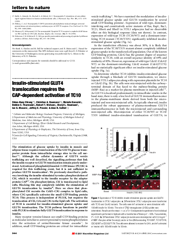 (PDF) Insulin-stimulated GLUT4 translocation requires the CAP-dependent ...