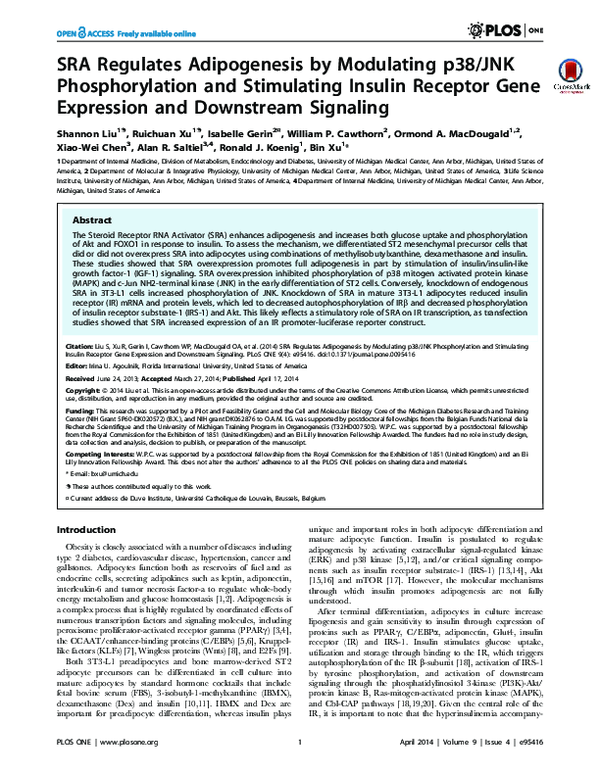 (PDF) SRA Regulates Adipogenesis by Modulating p38/JNK Phosphorylation ...