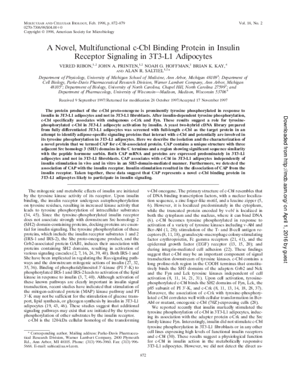 (PDF) A Novel, Multifunctional c-Cbl Binding Protein in Insulin ...