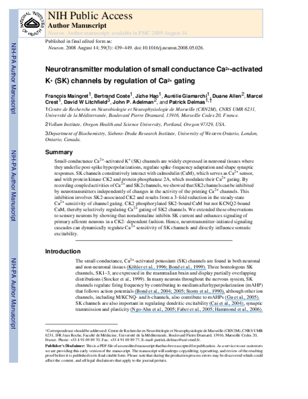 (PDF) Neurotransmitter Modulation of Small-Conductance Ca2+-Activated ...