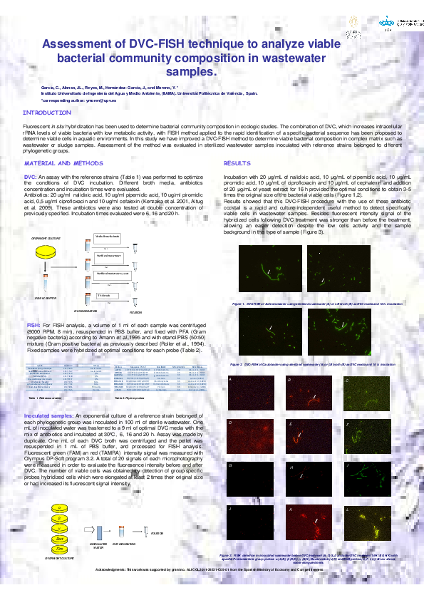 (PDF) assessment of DVC-FISH technique to analyze viable bacterial ...