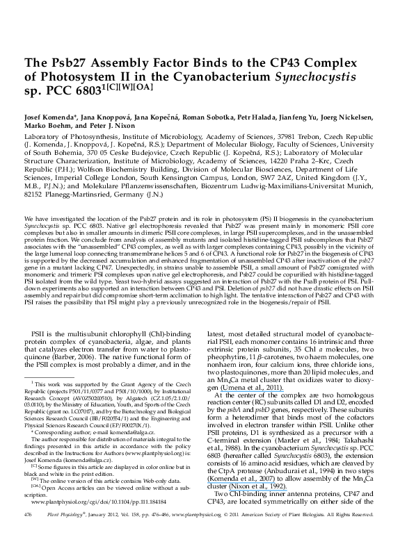 (PDF) Psb27's Role in CP43 Complex of Photosystem II