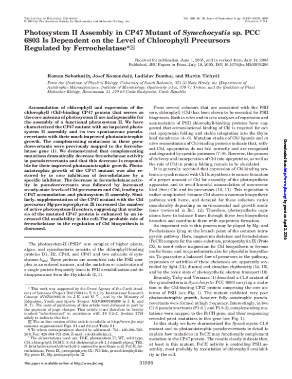 (PDF) Photosystem II Assembly in CP47 Mutant of Synechocystis sp. PCC 6803 Is Dependent on the ...