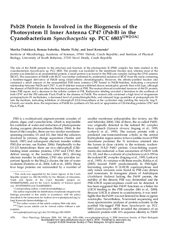 (PDF) Psb28 Protein Is Involved in the Biogenesis of the Photosystem II Inner Antenna CP47 (PsbB ...