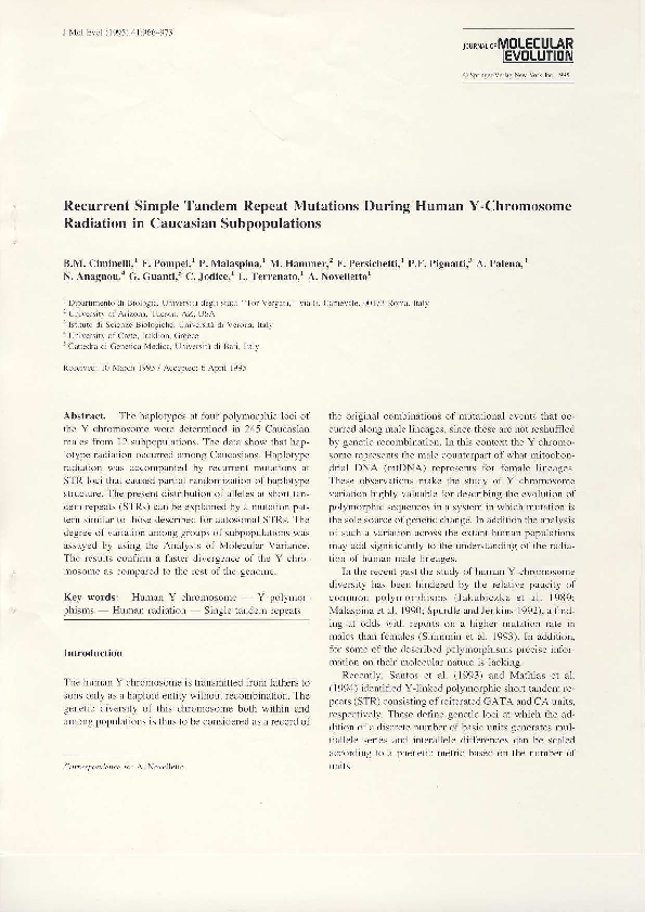 (PDF) Recurrent simple tandem repeat mutations during human Y ...