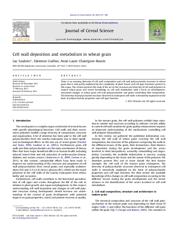 (PDF) Cell wall deposition and metabolism in wheat grain