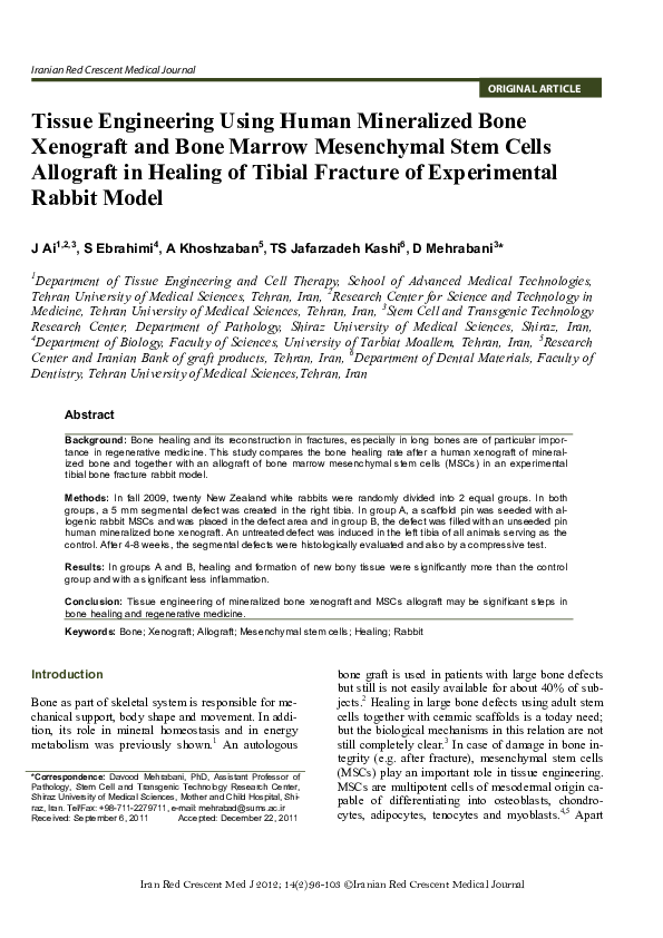(PDF) Tissue Engineering Using Human Mineralized Bone Xenograft and Bone Marrow Mesenchymal Stem ...