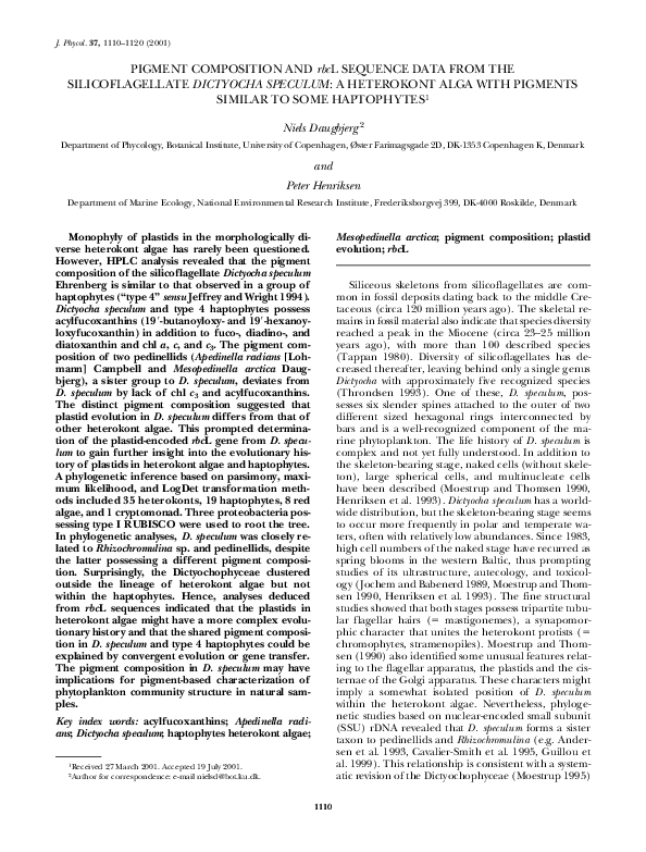 (PDF) PIGMENT COMPOSITION AND rbcL SEQUENCE DATA FROM THE ...