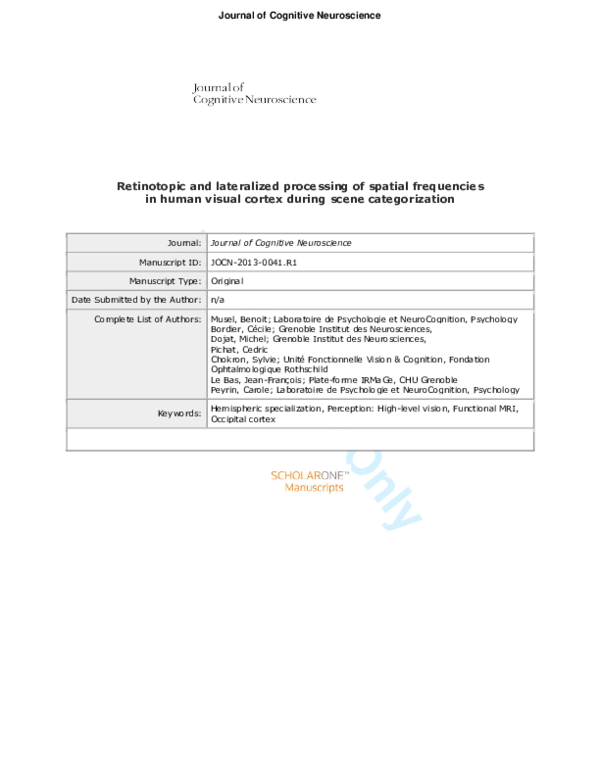 (PDF) Retinotopic and Lateralized Processing of Spatial Frequencies in Human Visual Cortex ...