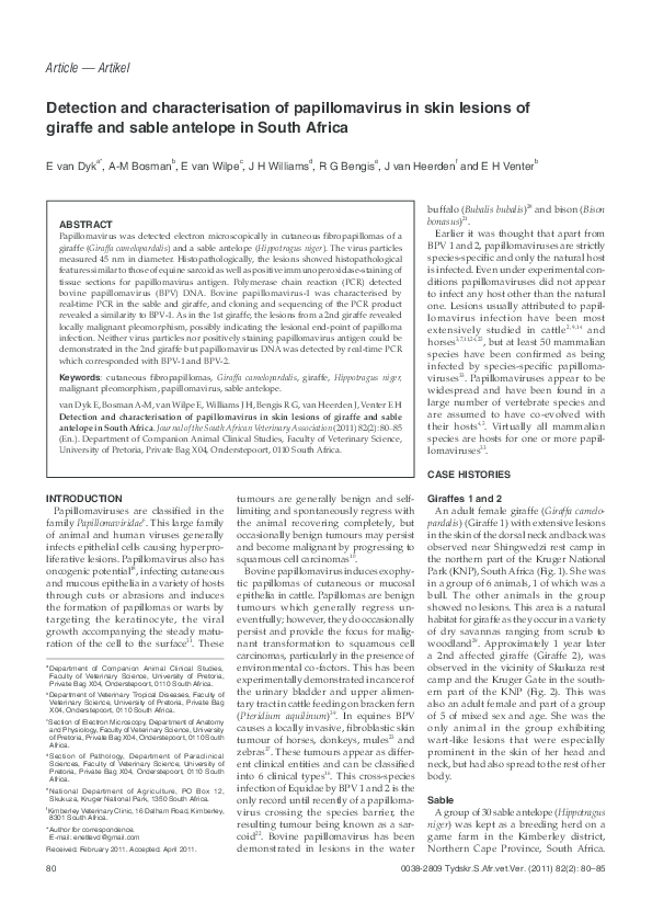 (PDF) Detection and characterisation of papillomavirus in skin lesions ...