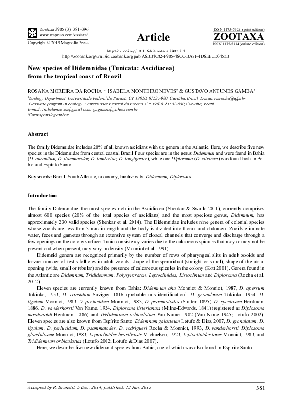(PDF) New species of Didemnidae (Tunicata: Ascidiacea) from the ...