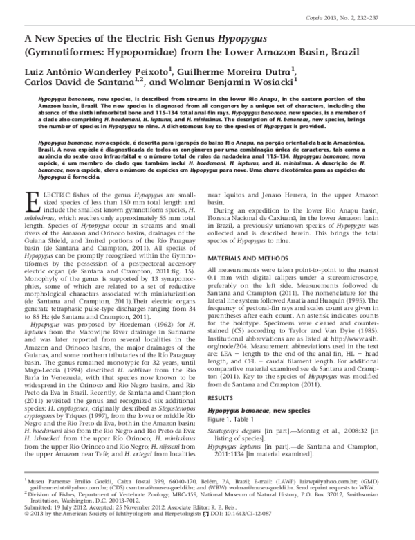 (PDF) A New Species of the Electric Fish Genus Hypopygus (Gymnotiformes ...