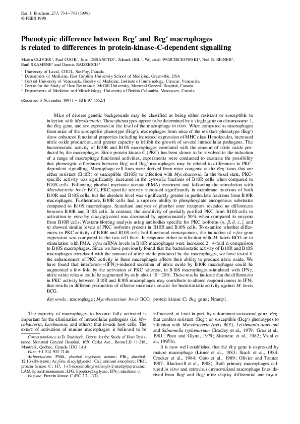 (PDF) Phenotypic difference between Bcgr and Bcgs macrophages is ...