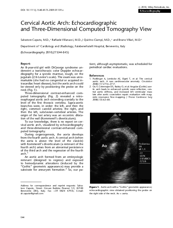 (PDF) Cervical Aortic Arch: Echocardiographic and Three-Dimensional ...