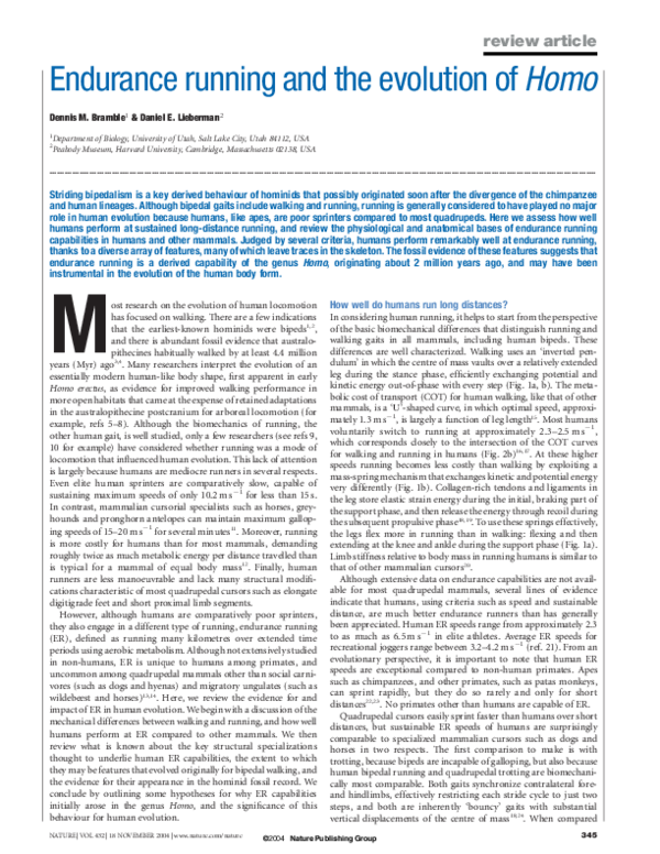 (PDF) Endurance running and the evolution of Homo