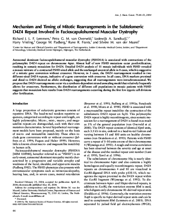 (PDF) Mechanism and Timing of Mitotic Rearrangements in the ...