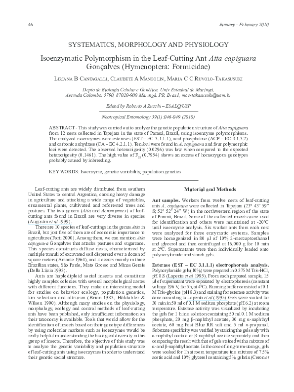 (PDF) Isoenzymatic polymorphism in the leaf-cutting ant Atta capiguara ...