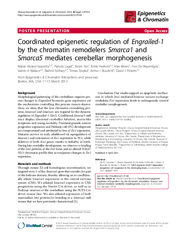 (PDF) Coordinated epigenetic regulation of Engrailed-1 by the chromatin ...