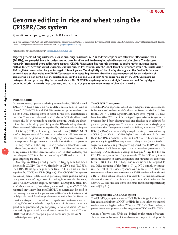 (PDF) Genome editing in rice and wheat using the CRISPR/Cas system