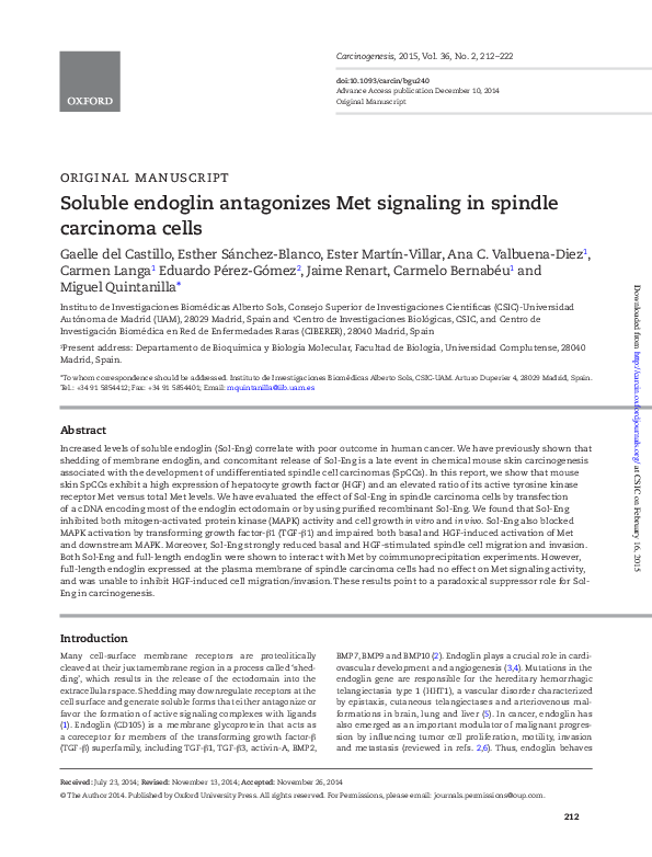 (PDF) Soluble endoglin antagonizes Met signaling in spindle carcinoma cells
