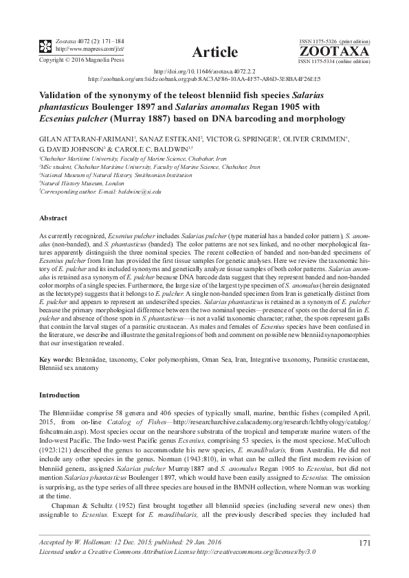 (PDF) Article Ecsenius pulcher (Murray 1887) based on DNA barcoding and ...