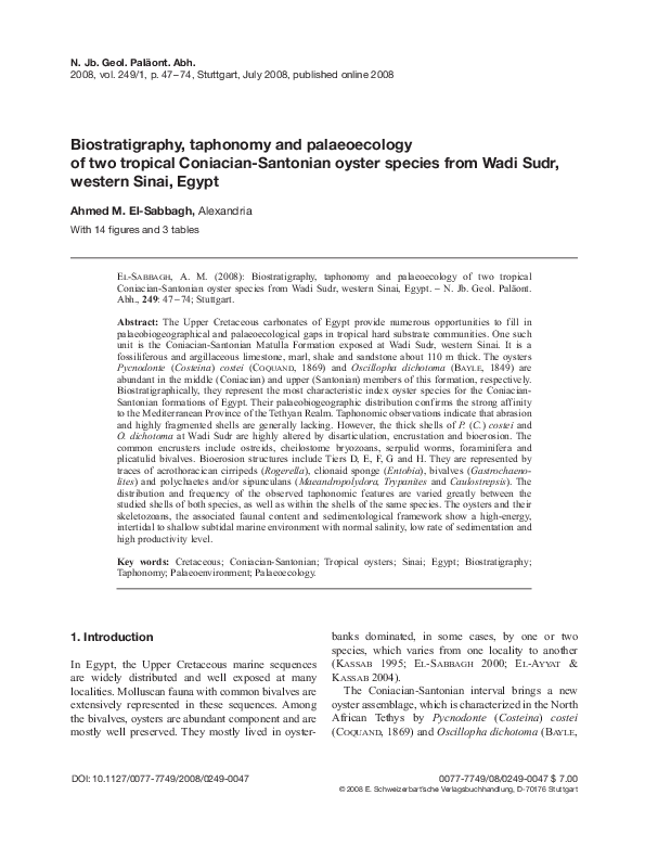 (PDF) Bioerosion in the middle Eocene larger foraminifer Nummulites in ...