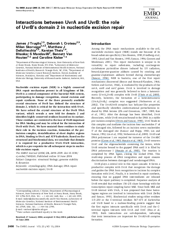(PDF) Interactions between UvrA and UvrB: the role of UvrB's domain 2 ...