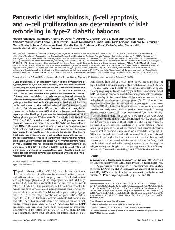 (PDF) Pancreatic islet amyloidosis, beta-cell apoptosis, and alpha-cell ...