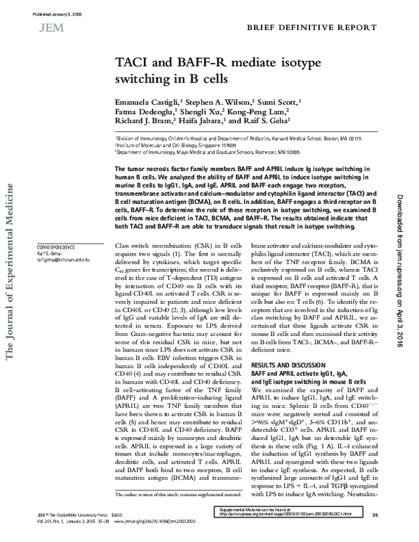 (PDF) TACI and BAFF-R mediate isotype switching in B cells