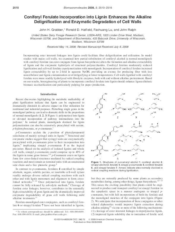 (PDF) Coniferyl Ferulate Incorporation into Lignin Enhances the ...