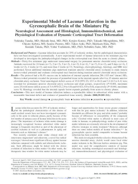 (PDF) Experimental Model of Lacunar Infarction in the Gyrencephalic ...