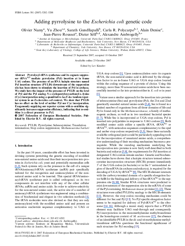 (PDF) Adding pyrrolysine to the Escherichia coli genetic code
