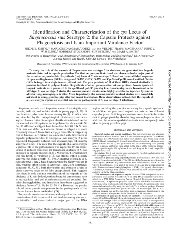(PDF) Identification and Characterization of the cps Locus of ...