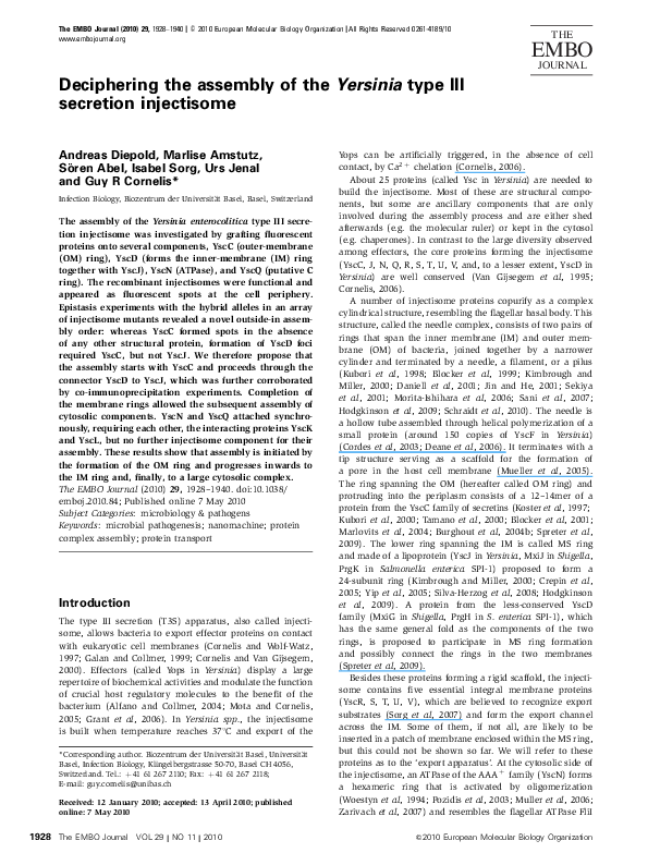 (PDF) Deciphering the assembly of the Yersinia type III secretion ...