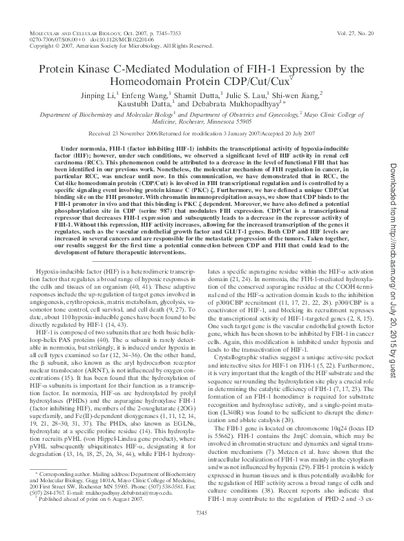 (PDF) Protein kinase C-mediated modulation of FIH-1 expression by the ... (PDF) Protein kinase C-mediated modulation of FIH-1 expression by the ...