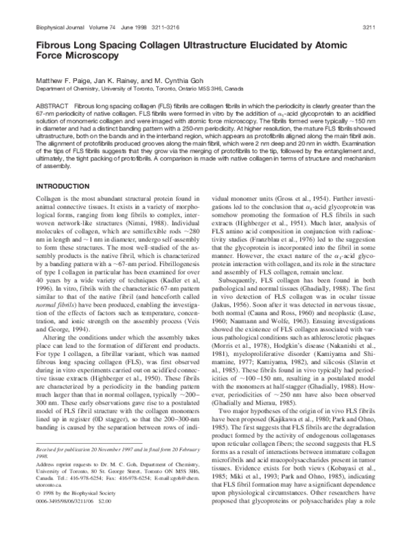 (PDF) Fibrous Long Spacing Collagen Ultrastructure Elucidated by Atomic ...
