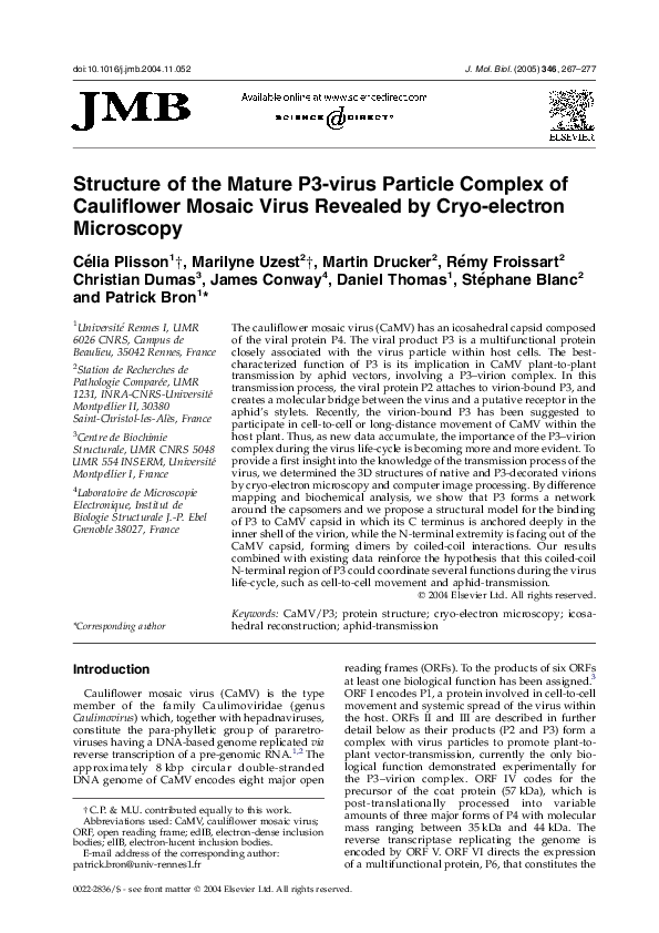 (PDF) Structure of the Mature P3-virus Particle Complex of Cauliflower ...